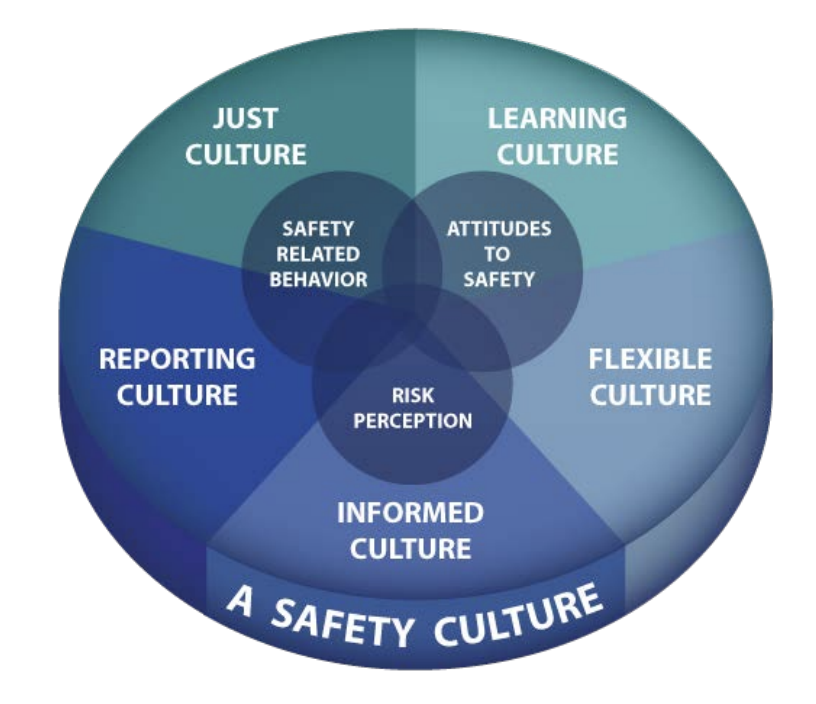 Risk Management: Safety Culture Summary Tutorial | Sophia Learning