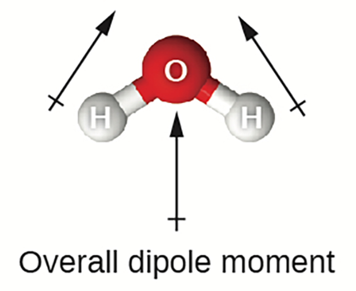 Water Tutorial | Sophia Learning