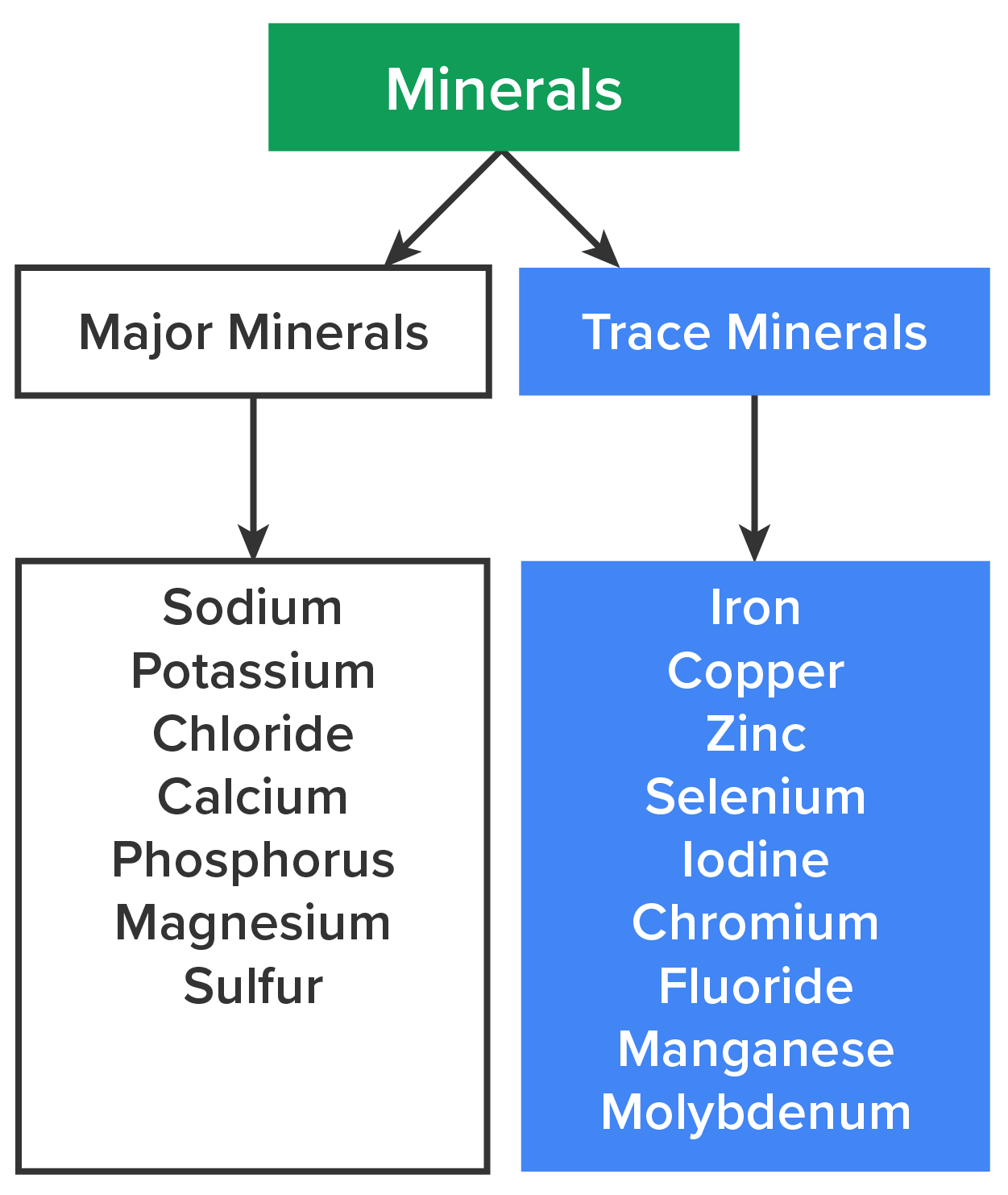 Trace Minerals Tutorial | Sophia Learning