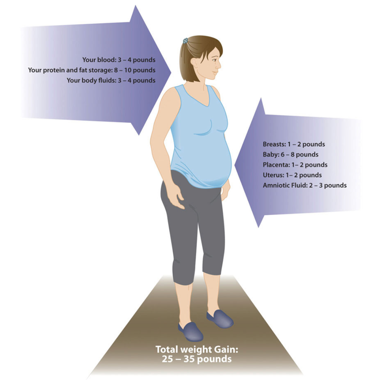 Pregnancy and Weight Gain Tutorial | Sophia Learning
