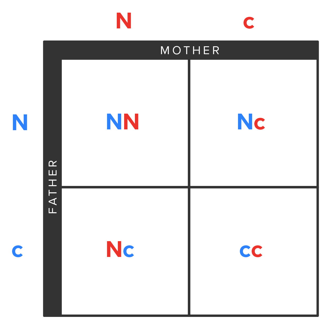 Heredity and Chromosomes Tutorial | Sophia Learning