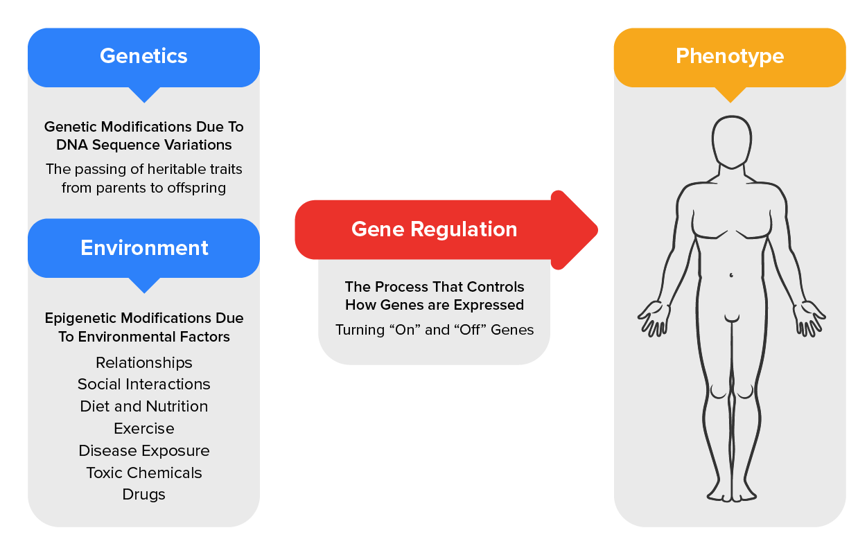 The Nature vs. Nurture Debate Tutorial | Sophia Learning