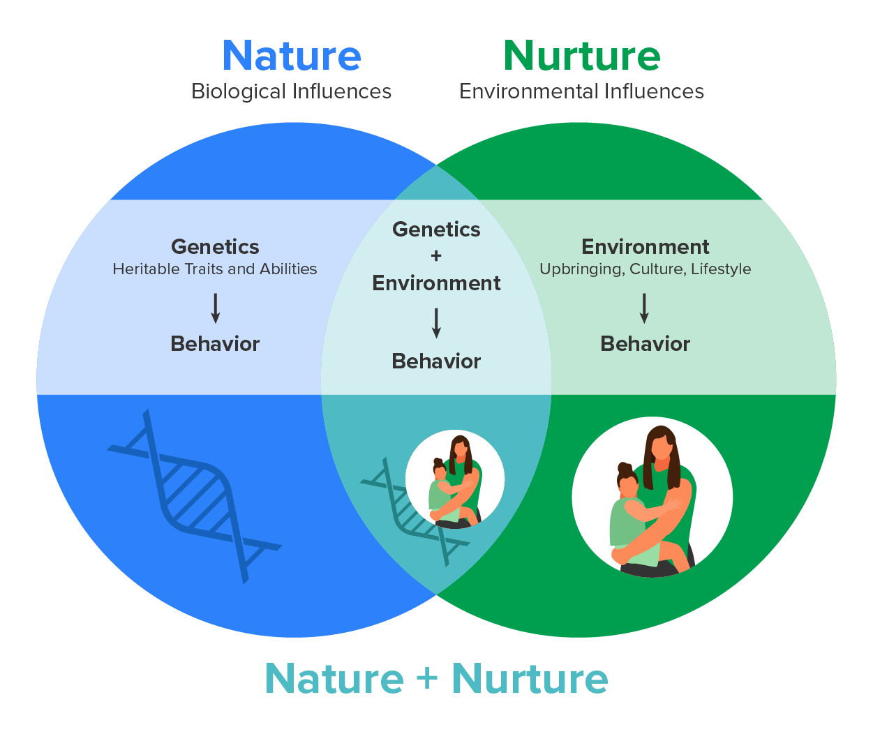The Nature vs. Nurture Debate Tutorial | Sophia Learning