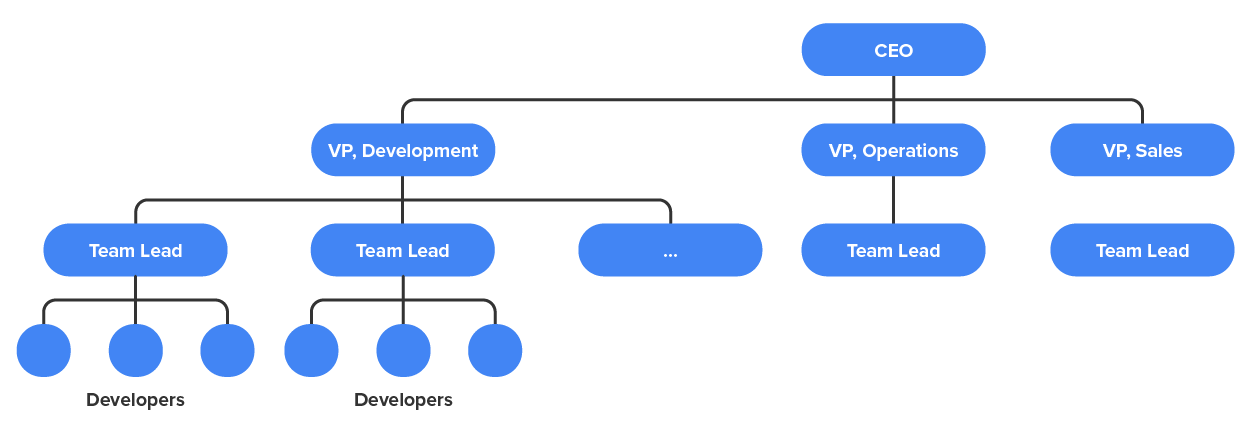 Organizational Designs and Structures Tutorial | Sophia Learning