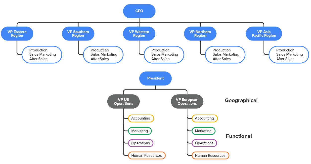 Organizational Designs and Structures Tutorial | Sophia Learning