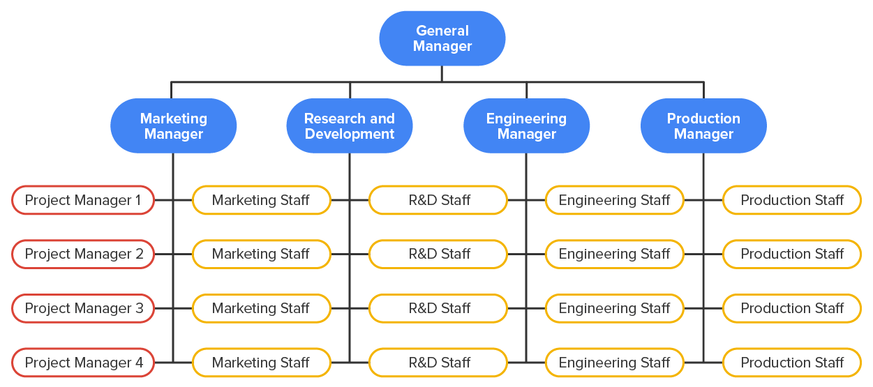 Organizational Designs and Structures Tutorial | Sophia Learning