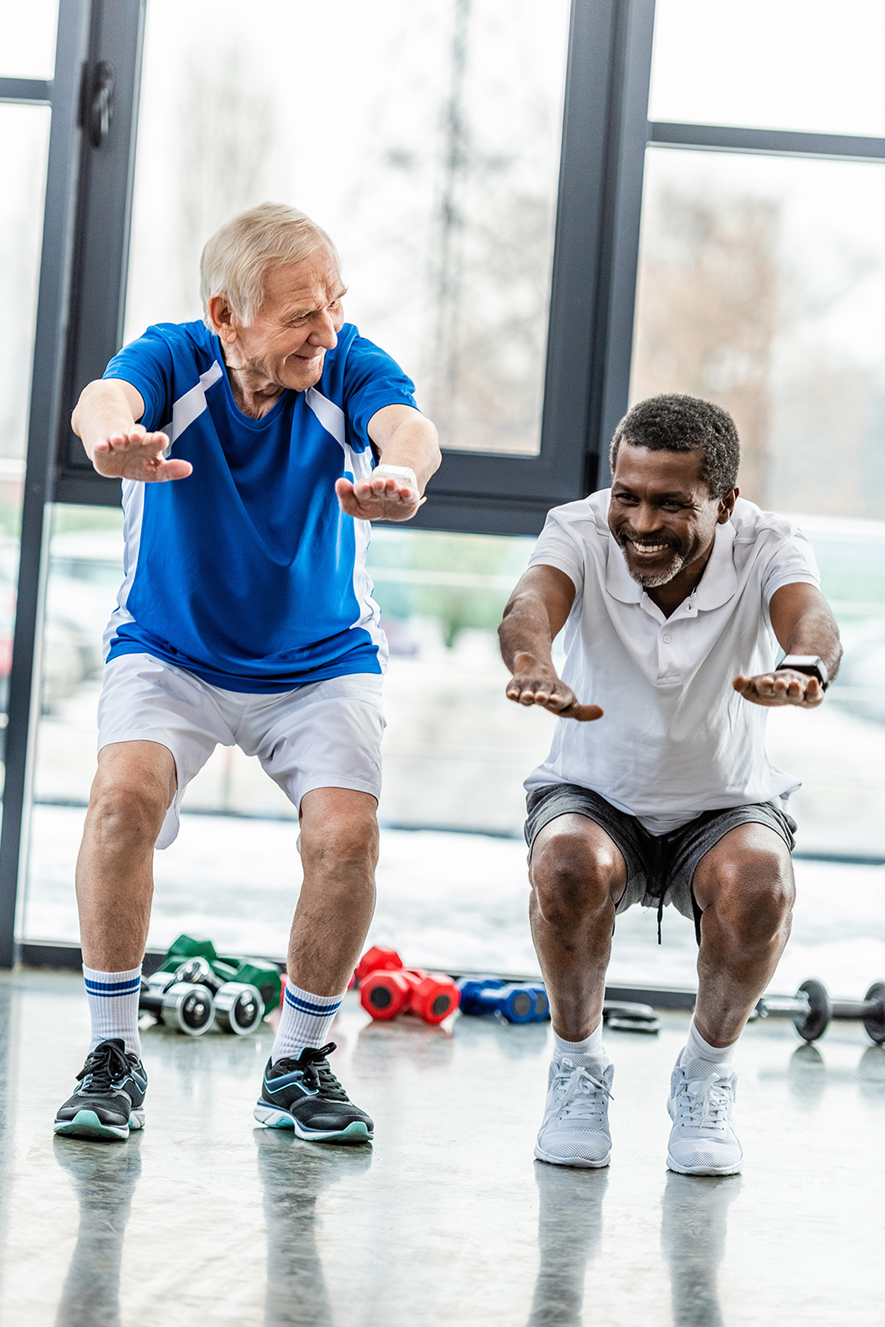 Principles of Flexibility and Mobility Tutorial | Sophia Learning