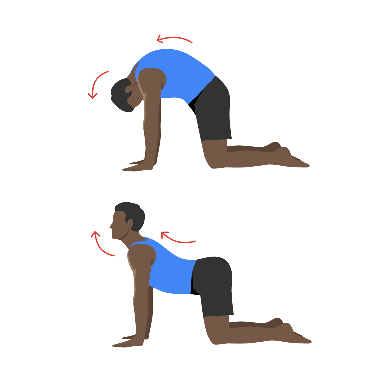 Principles of Flexibility and Mobility Tutorial | Sophia Learning