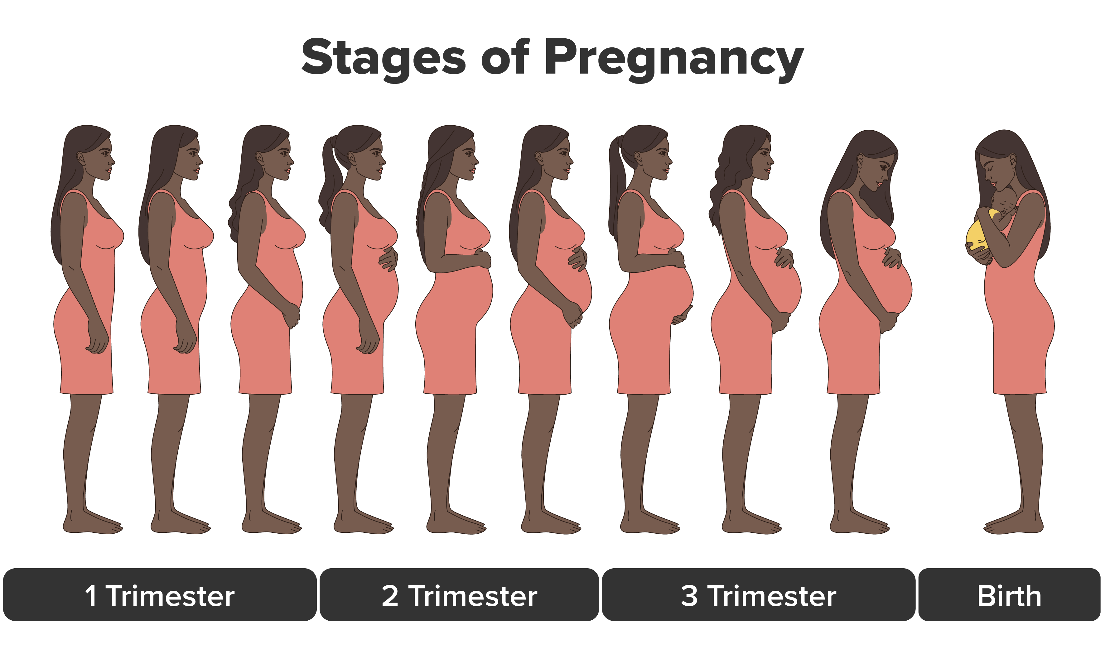 Changes During Pregnancy Tutorial | Sophia Learning