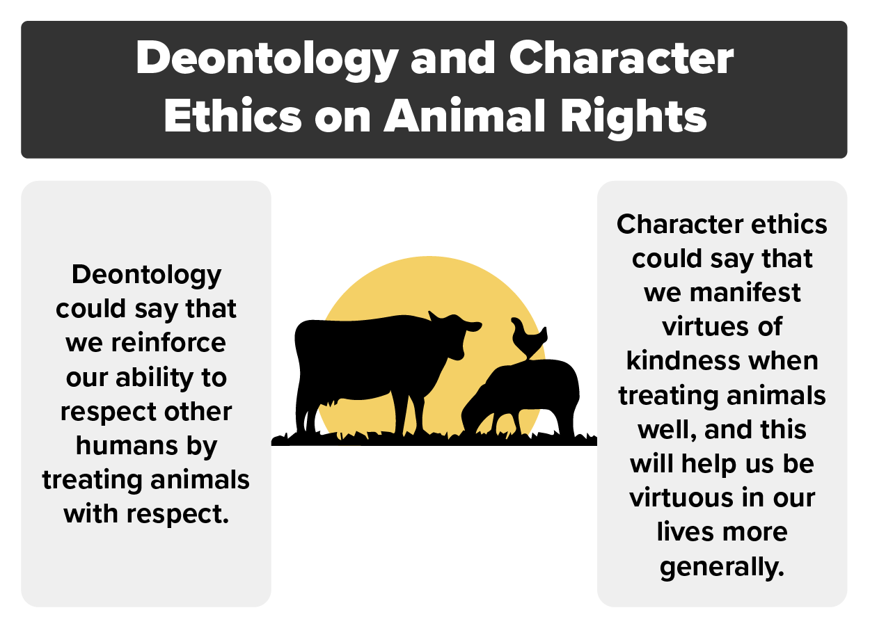 Case Study: Animal Rights Tutorial | Sophia Learning