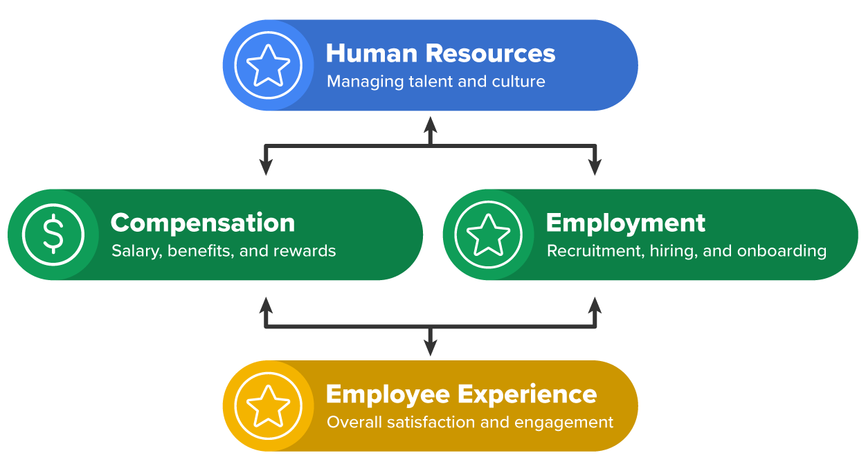 Human Resource Metrics and Analytics Tutorial | Sophia Learning