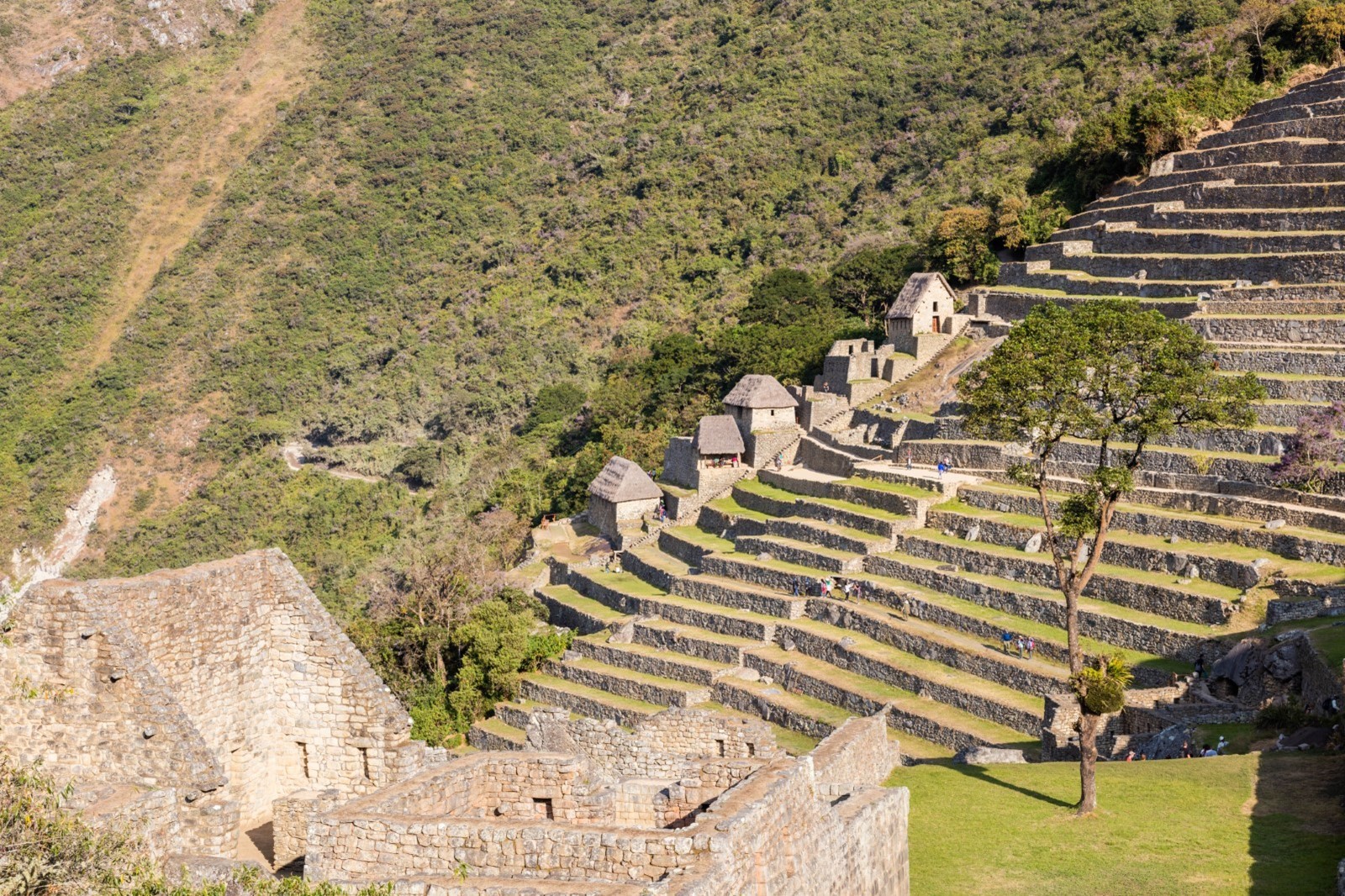 Exploring Inca Architecture: The Rediscovery of Machu Picchu Tutorial ...