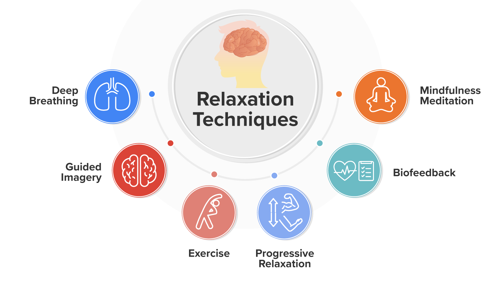 The Role of Physiology Tutorial | Sophia Learning