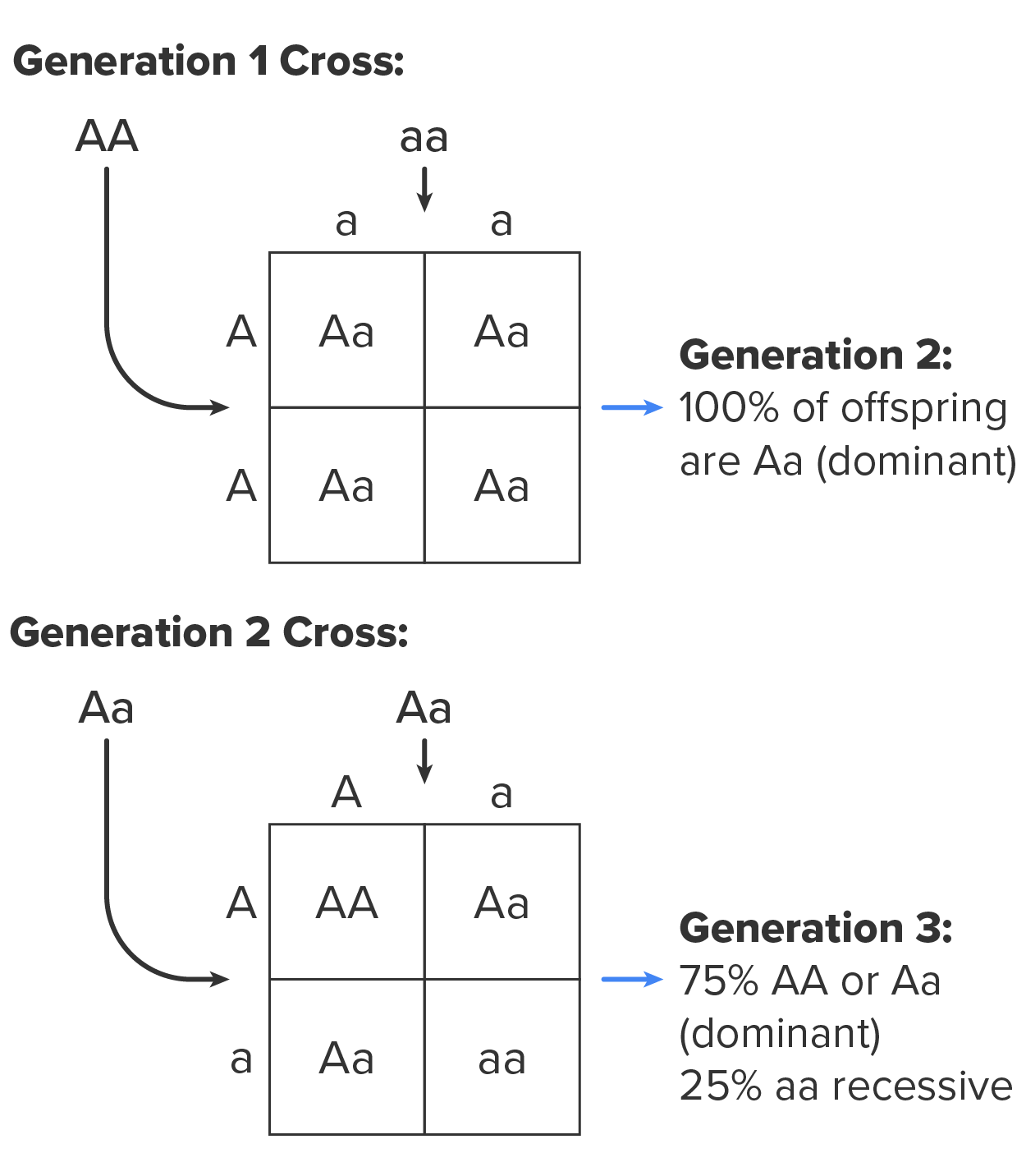 Heredity Tutorial | Sophia Learning
