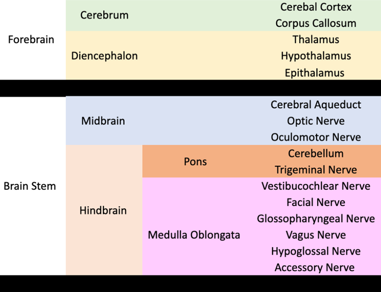 The Brain Tutorial | Sophia Learning