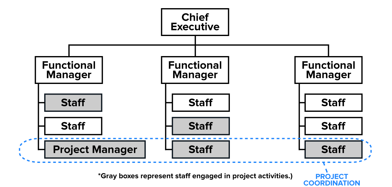 Organizational Structures Tutorial | Sophia Learning