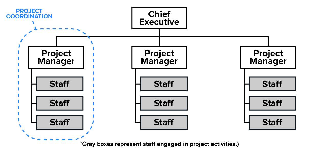 Organizational Structures Tutorial | Sophia Learning