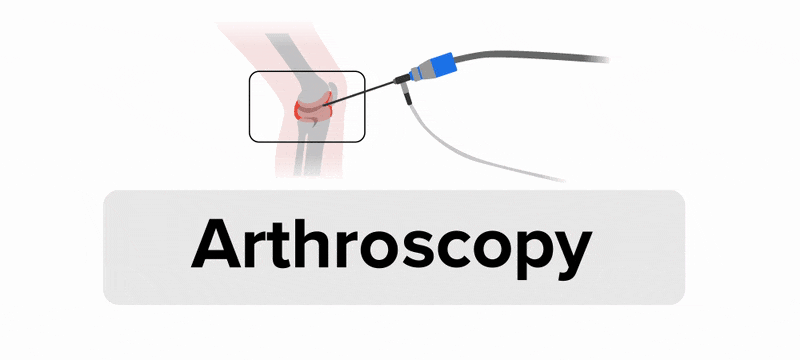 Introduction to Medical Word Components Tutorial | Sophia Learning